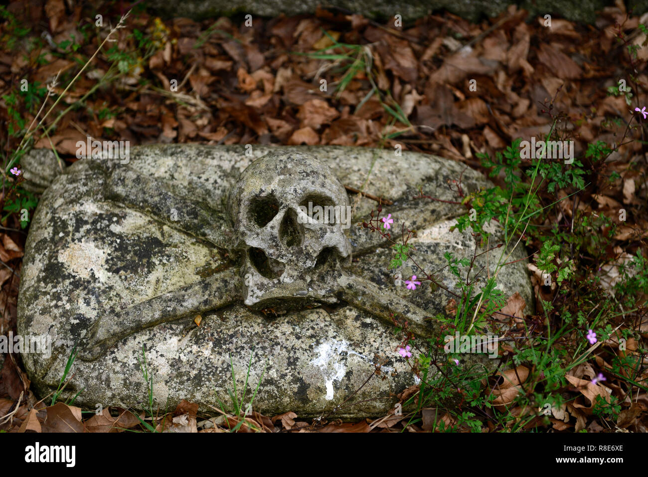 Skull grave hi-res stock photography and images - Alamy