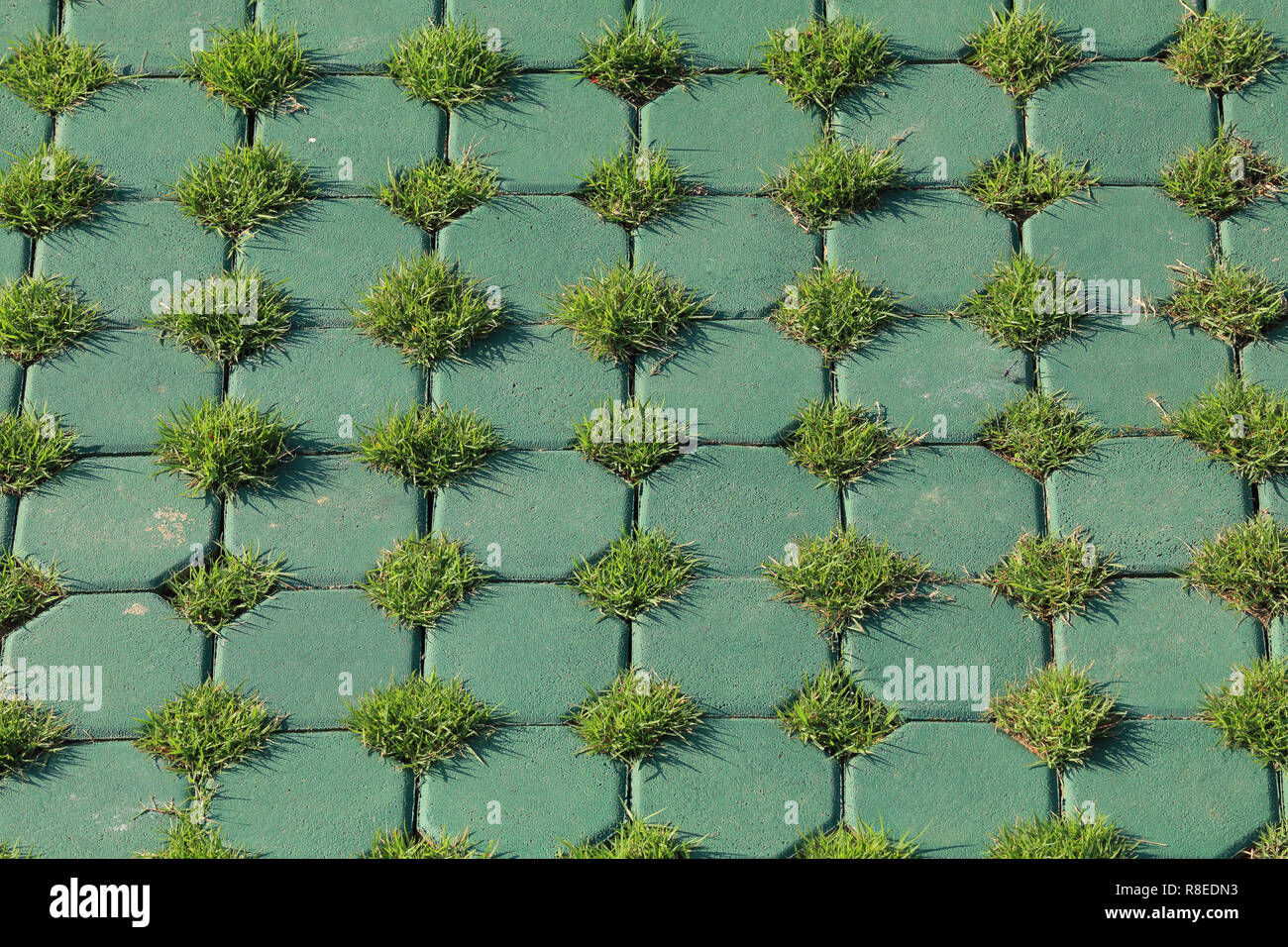 design of floor with use brick and grass Stock Photo - Alamy