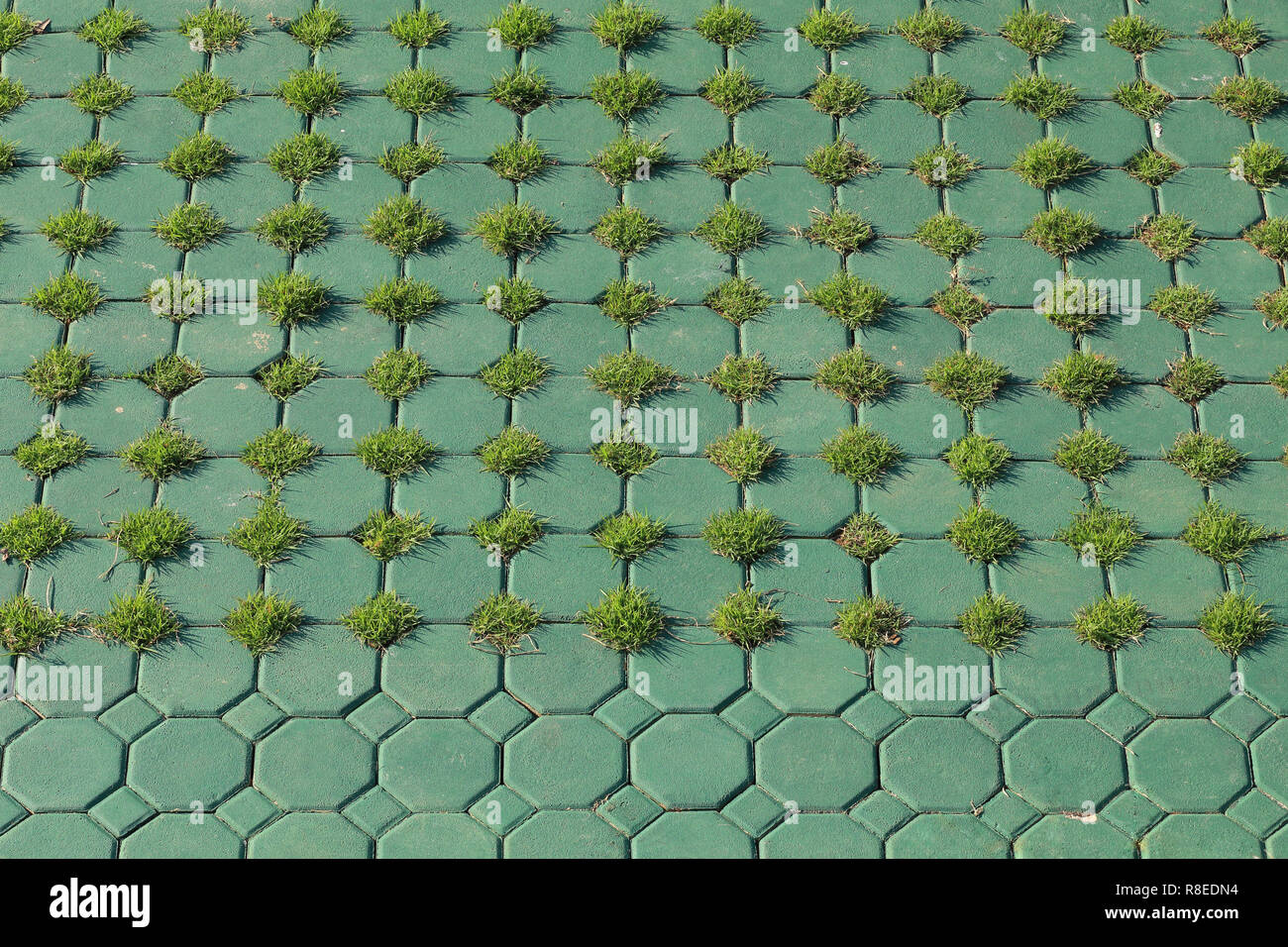 design of floor with use brick and grass Stock Photo - Alamy