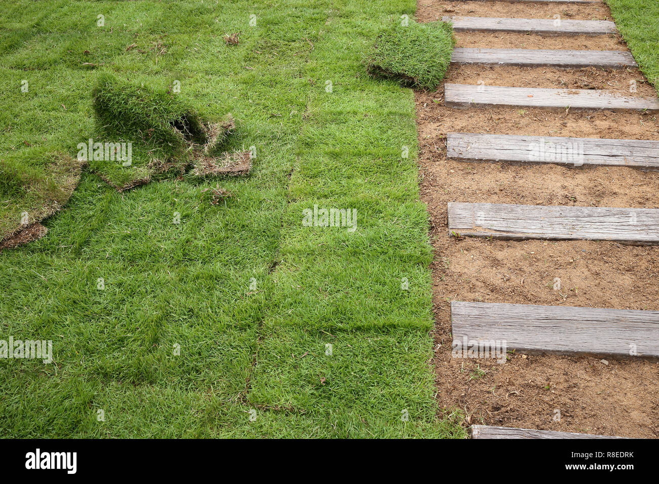 New grass, planting new sod grass in the garden Stock Photo - Alamy