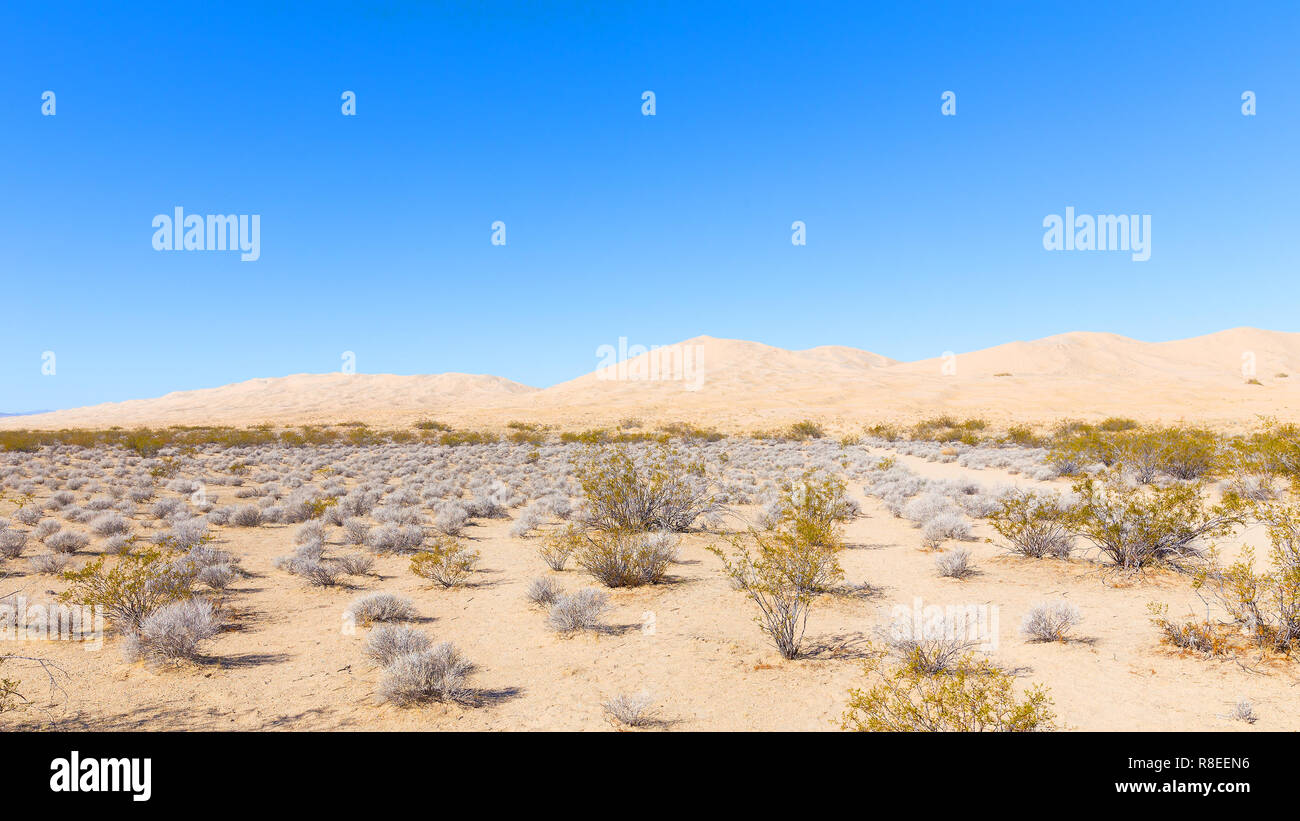 Mojave Desert with sand dunes on horizon. Preserved land of beautiful ...