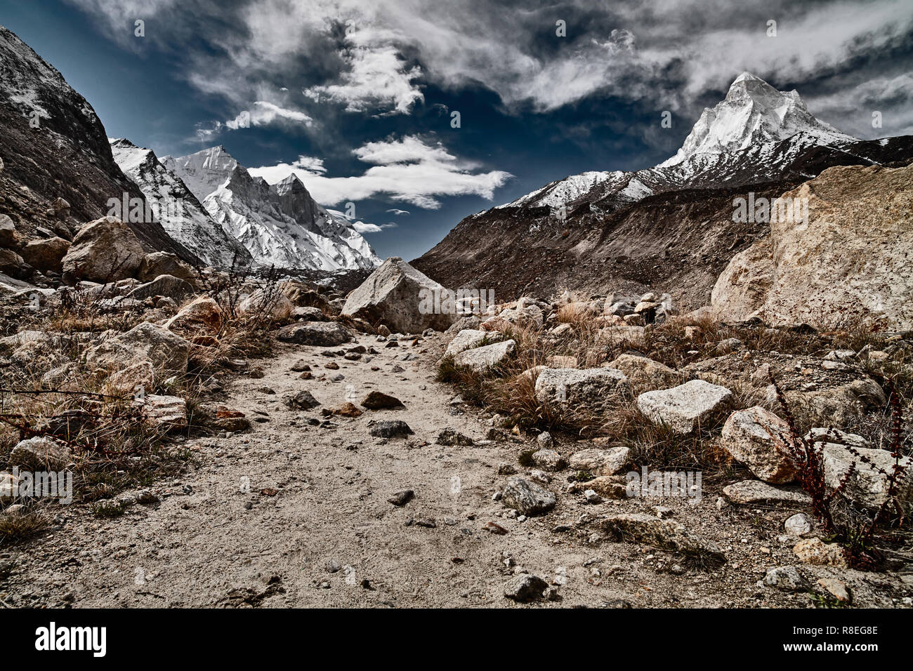 Country road in the mountains. Himalayas. India Stock Photo - Alamy