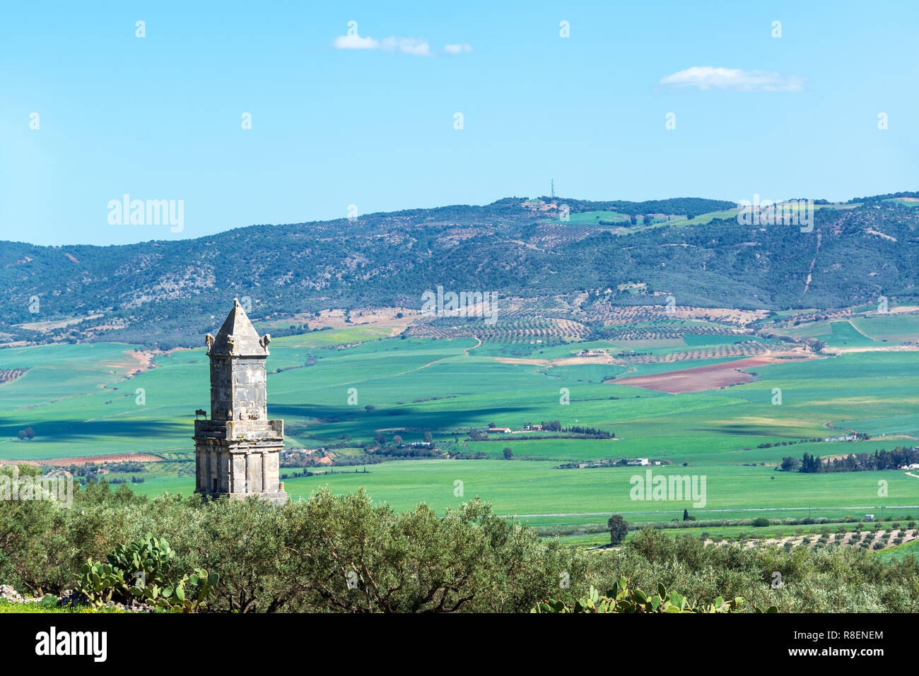 Numidian hi-res stock photography and images - Alamy