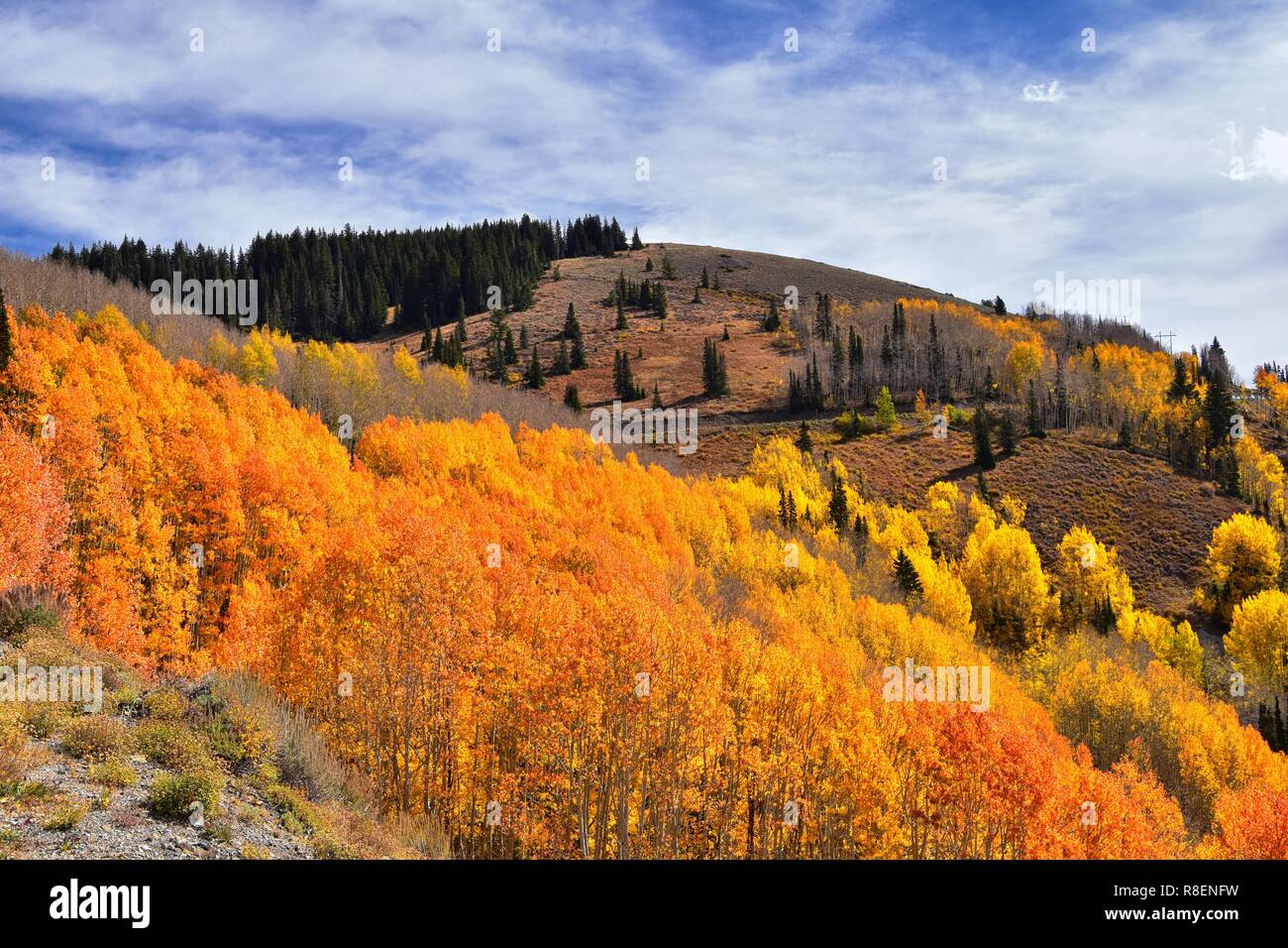 Guardsman Pass views of Panoramic Landscape of the Pass from the ...