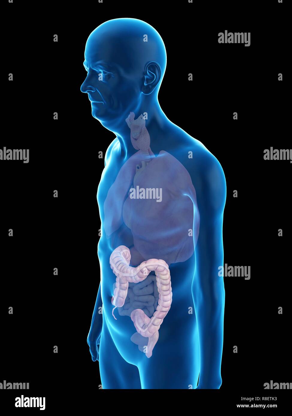 Old Colon High Resolution Stock Photography and Images - Alamy