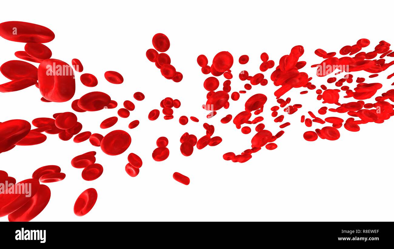 Illustration of human blood cells Stock Photo - Alamy