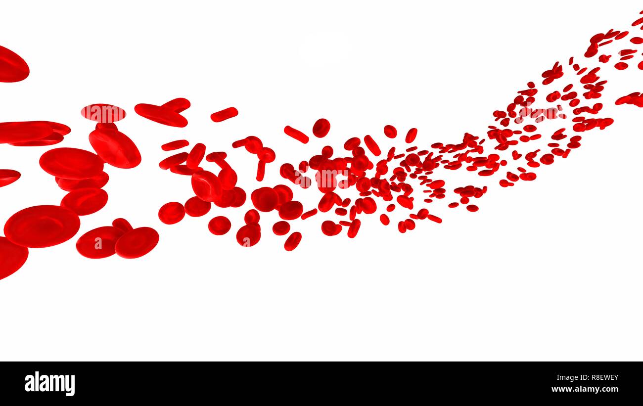 Illustration of human blood cells Stock Photo - Alamy