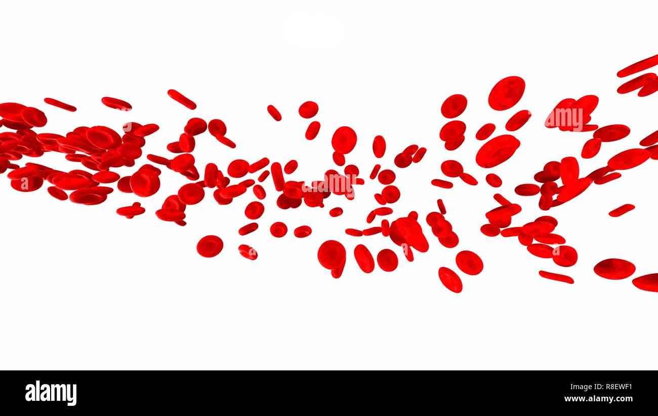 Illustration of human blood cells Stock Photo - Alamy