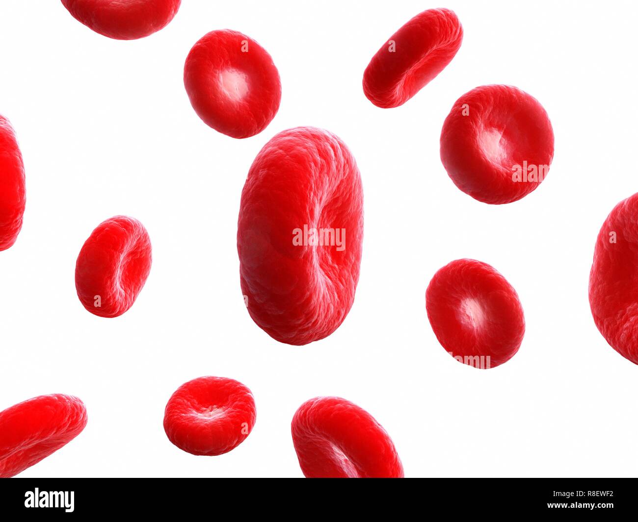 Illustration of human blood cells Stock Photo - Alamy