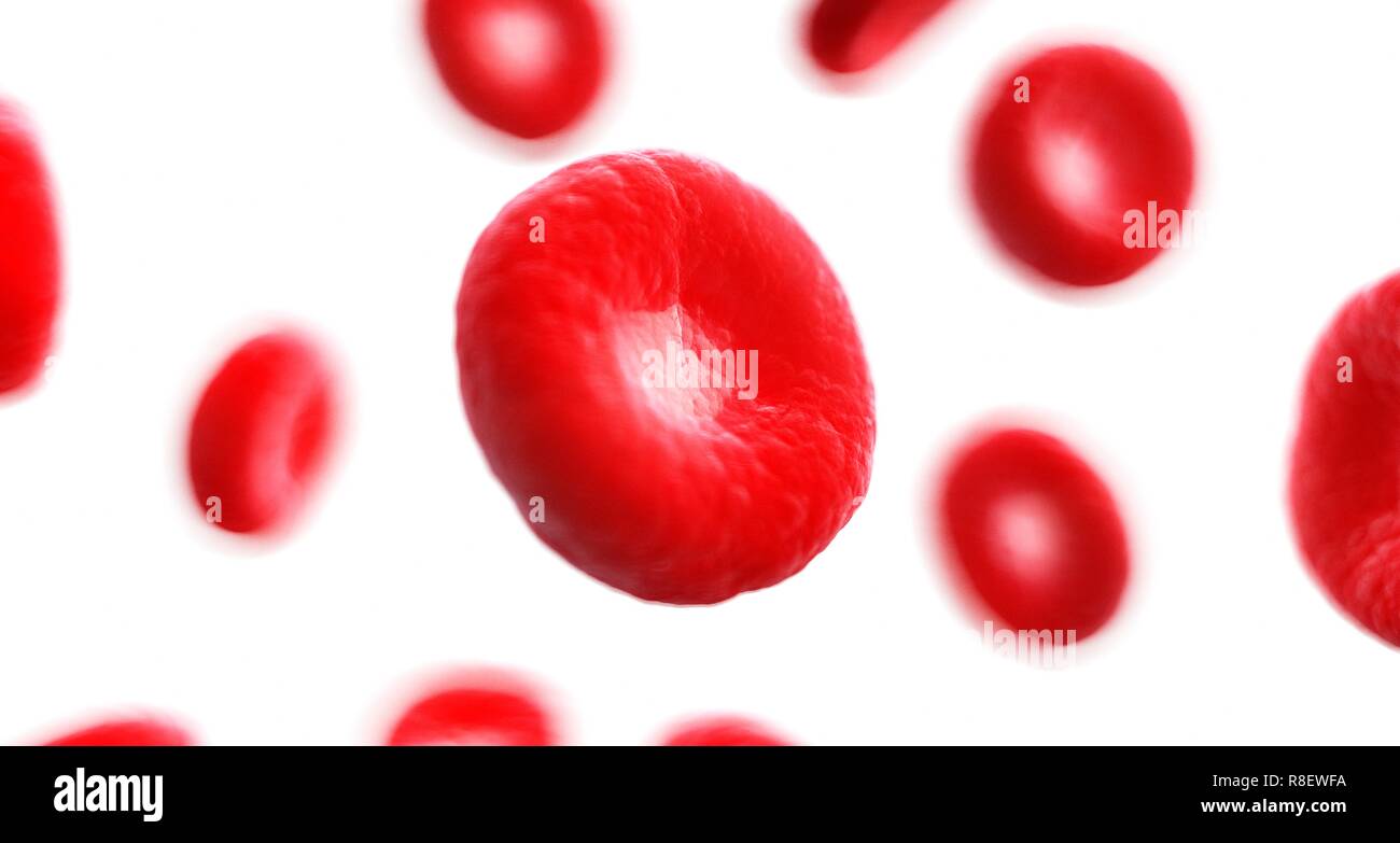 Illustration of human blood cells Stock Photo - Alamy