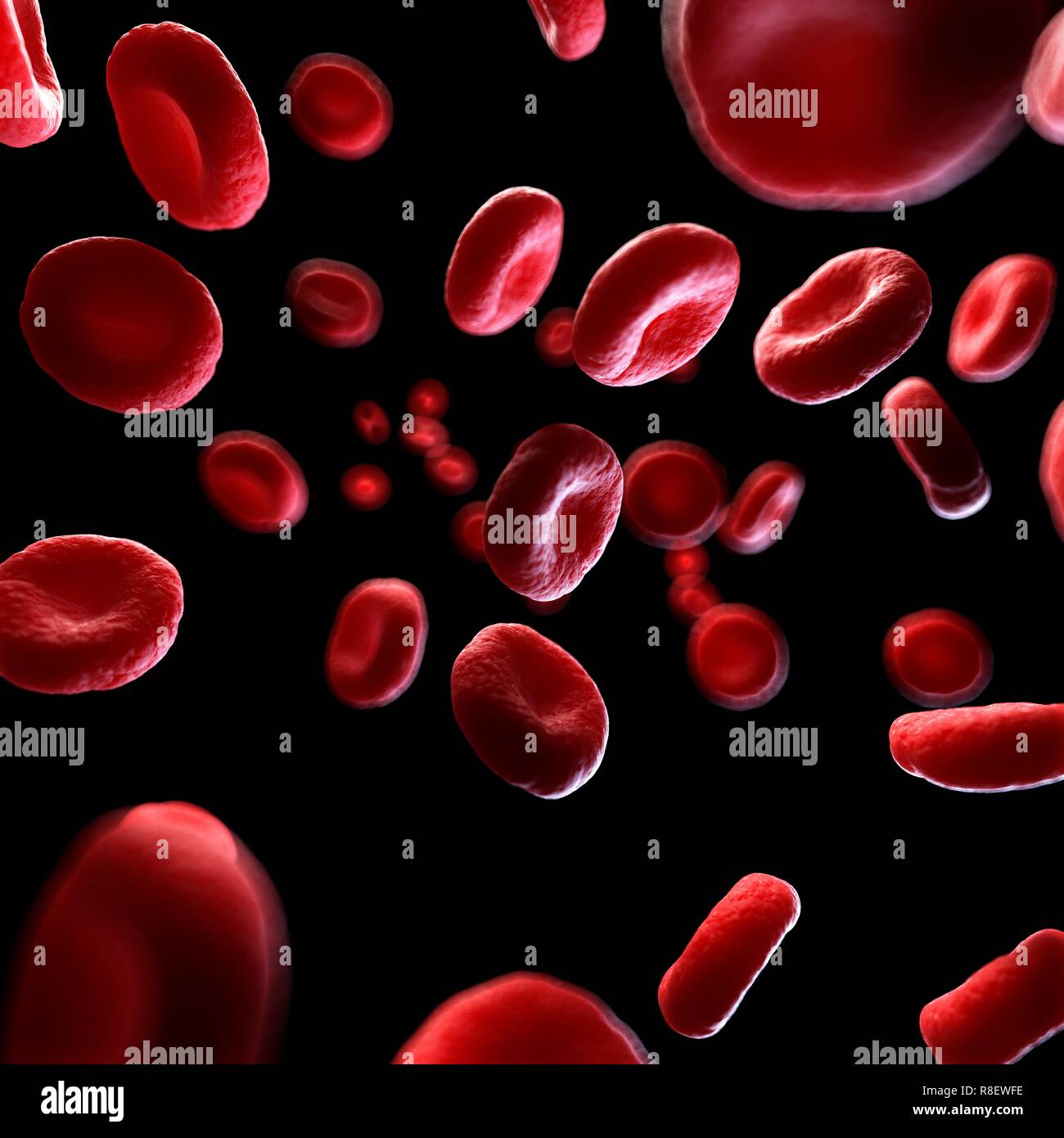 Illustration of human blood cells Stock Photo - Alamy