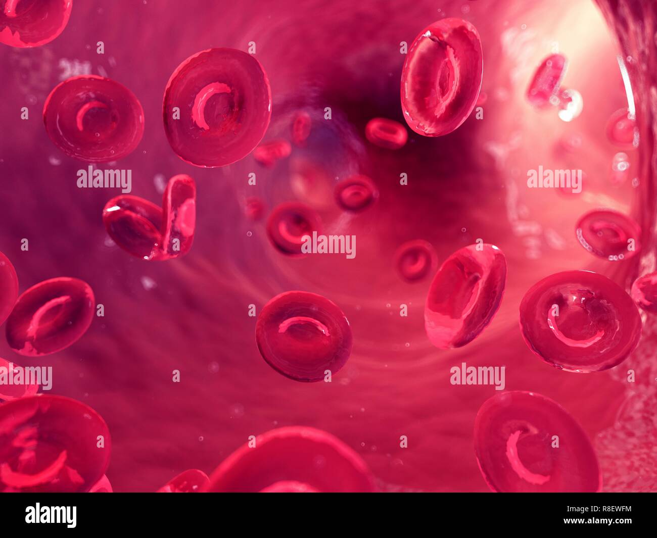 Illustration of human blood cells Stock Photo - Alamy
