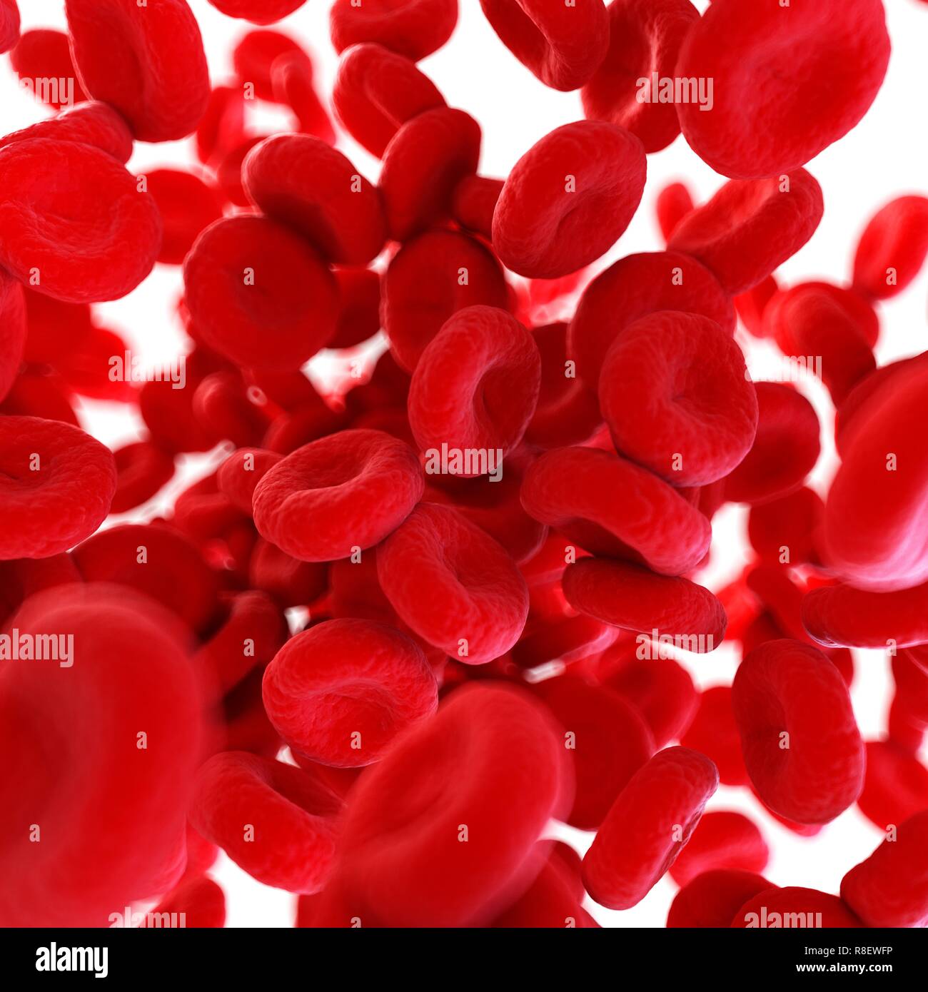 Illustration of human blood cells Stock Photo - Alamy