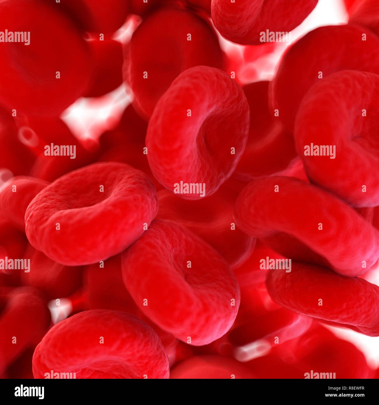 Illustration of human blood cells Stock Photo - Alamy