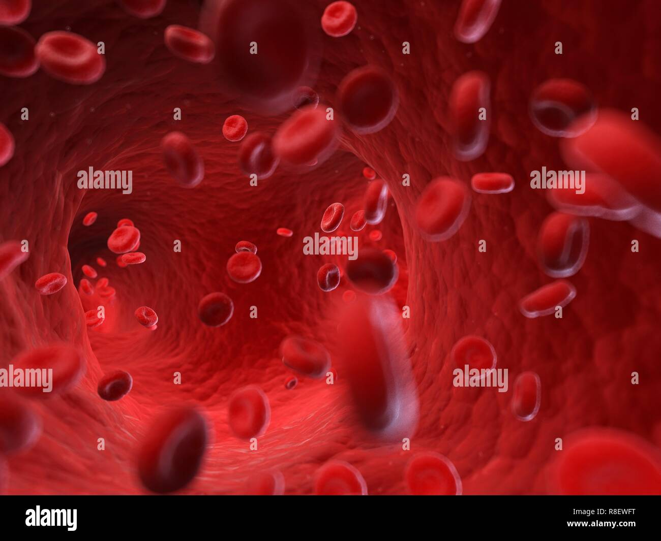 Illustration of human blood cells Stock Photo - Alamy