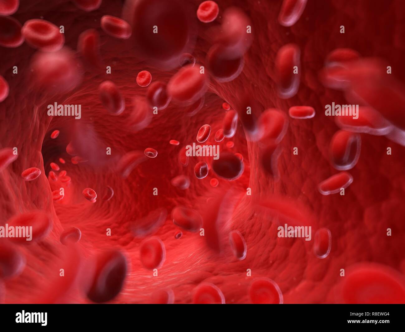 Illustration of the human blood Stock Photo - Alamy