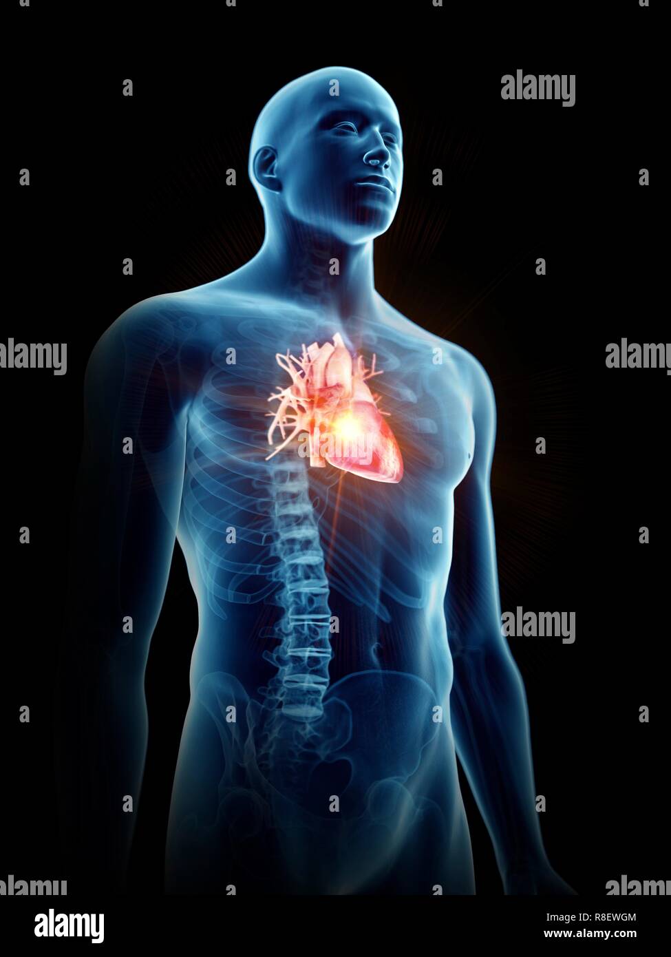 Illustration of a painful heart Stock Photo - Alamy