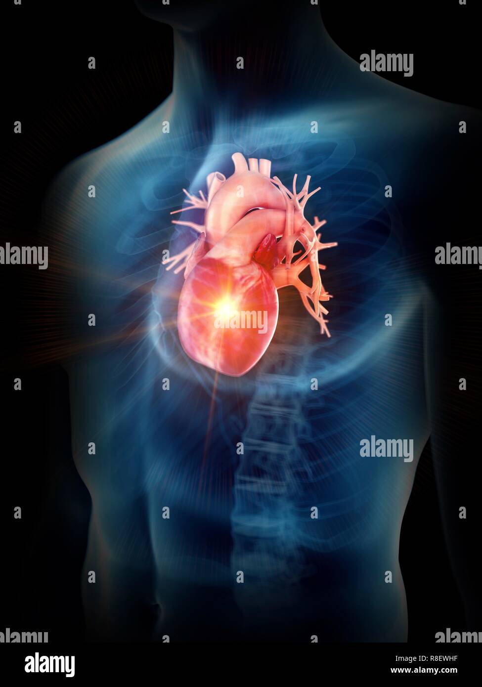 Illustration of a painful heart Stock Photo - Alamy