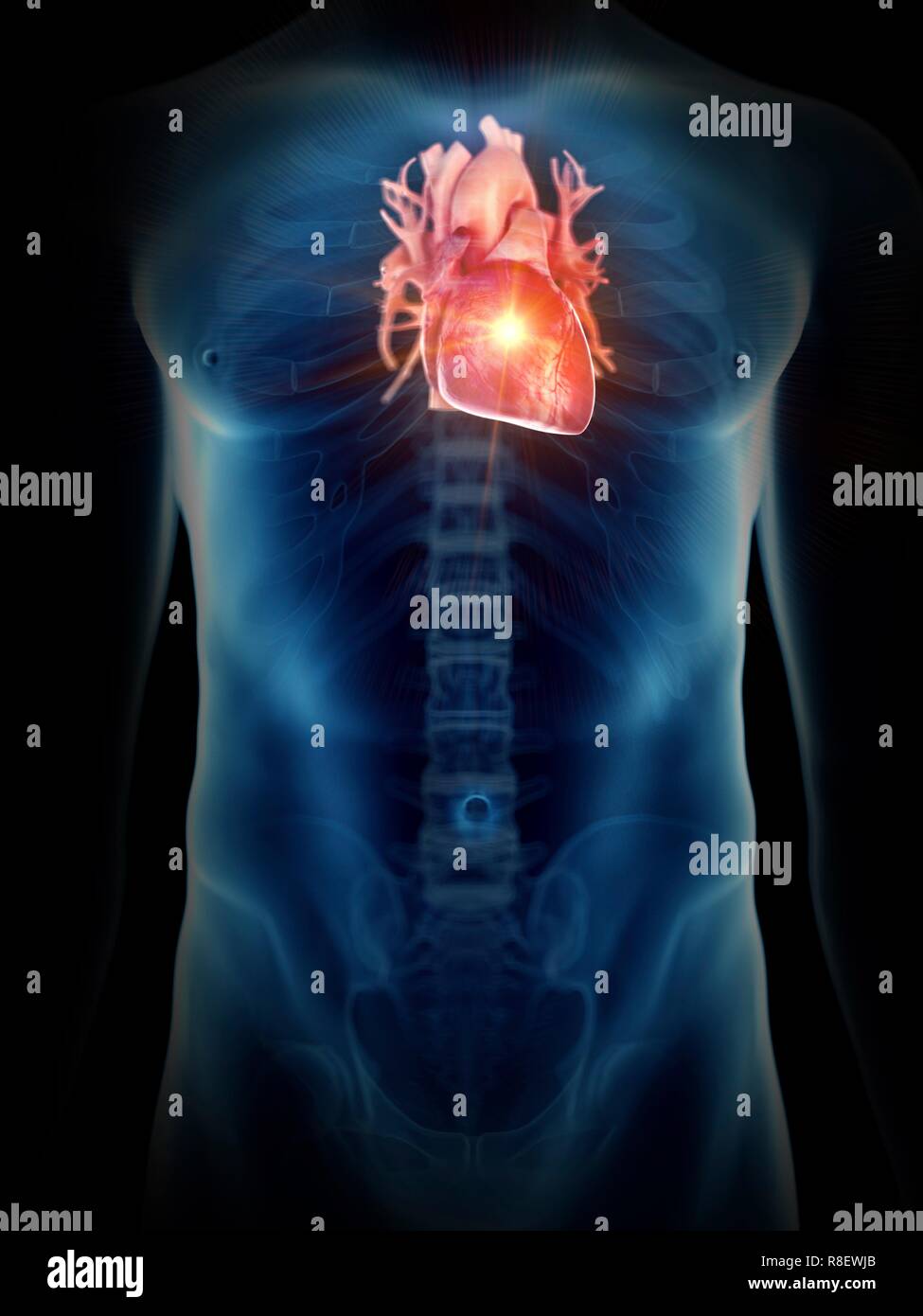 Illustration of a painful heart Stock Photo - Alamy