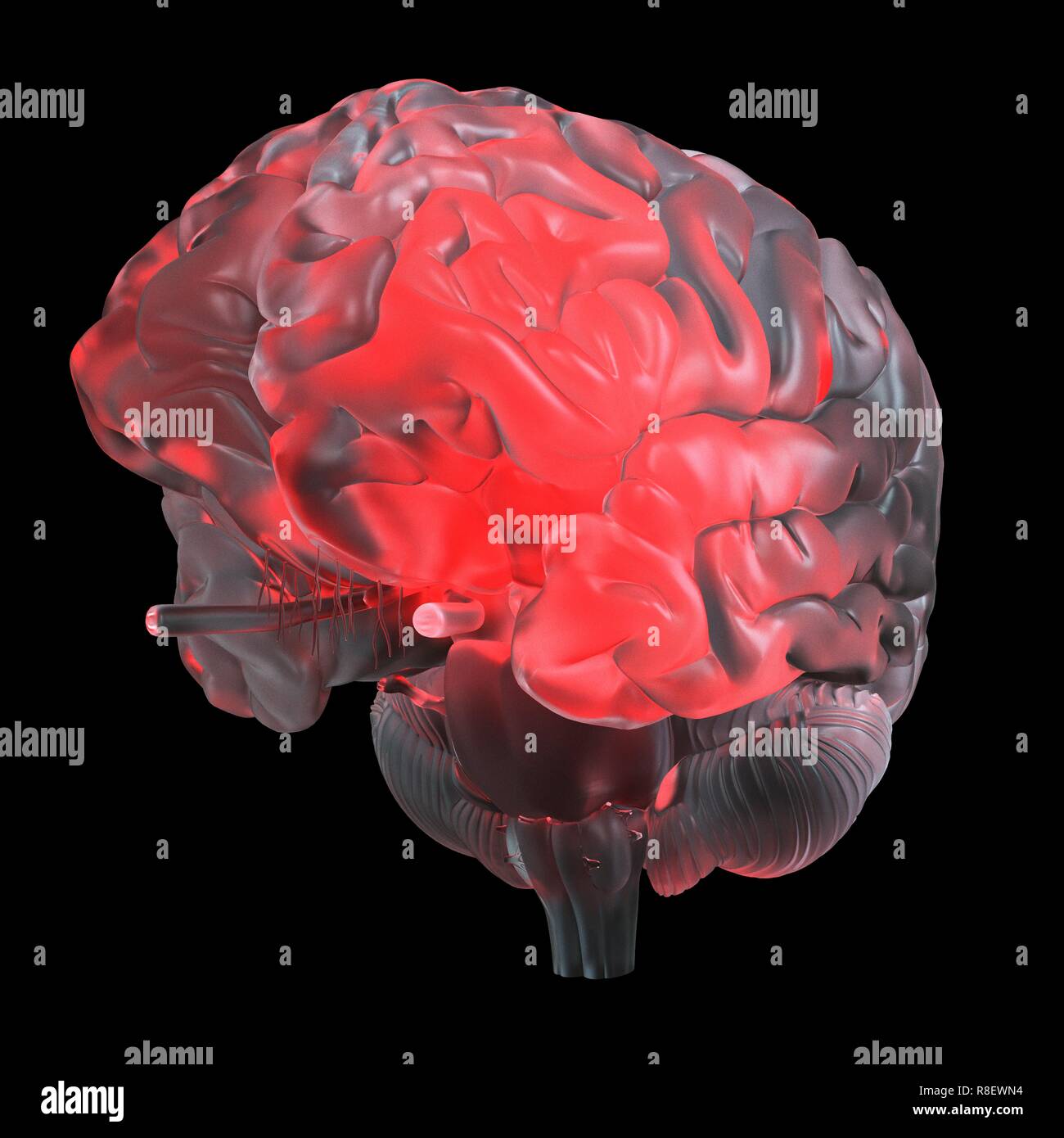 Illustration of a red glowing glass brain Stock Photo - Alamy