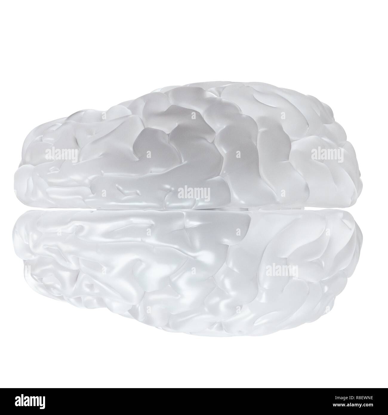 Illustration of a glass brain Stock Photo - Alamy