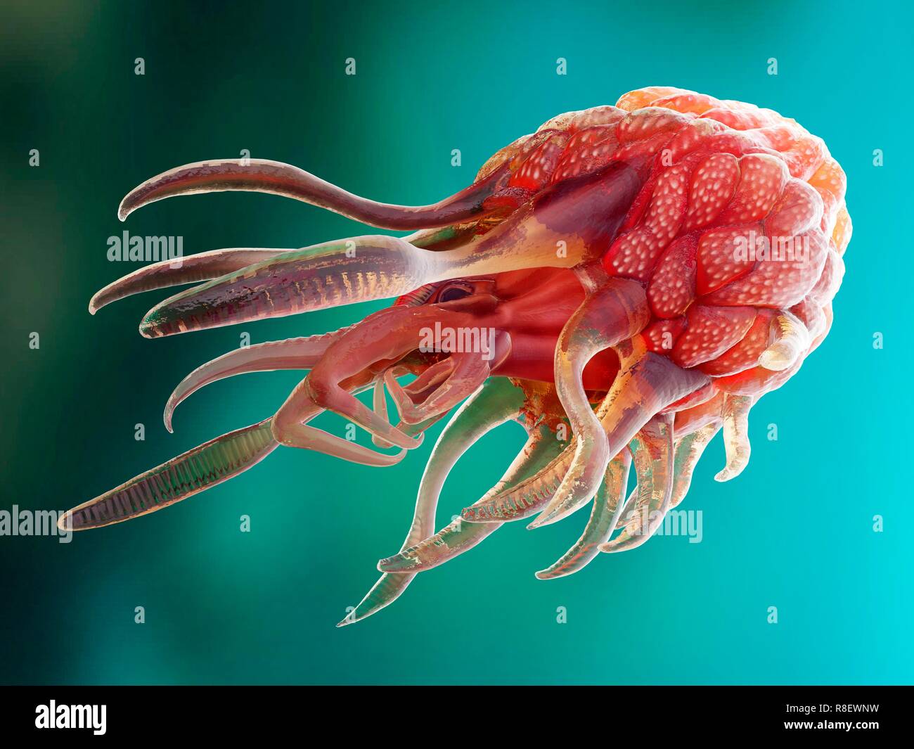 Illustration of a conceptual cancer monster Stock Photo - Alamy
