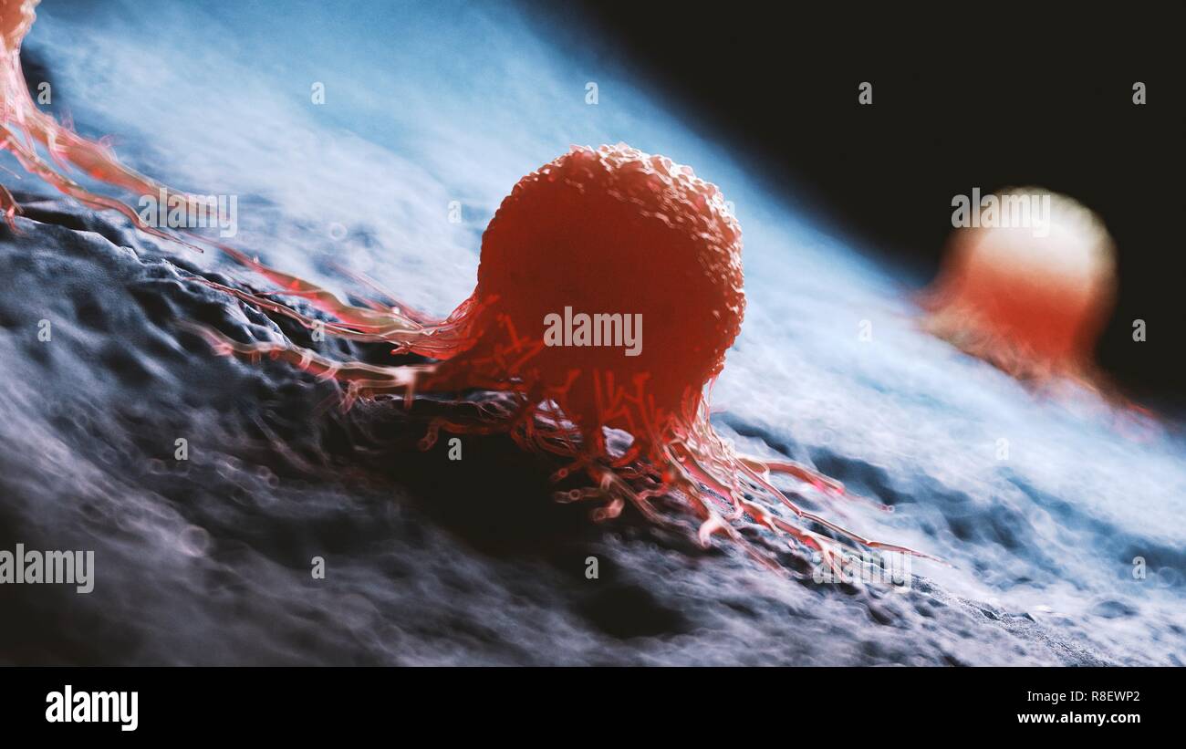 Illustration of a cancer cell Stock Photo - Alamy