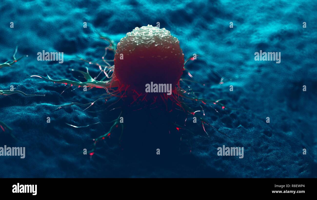Illustration of a cancer cell Stock Photo - Alamy