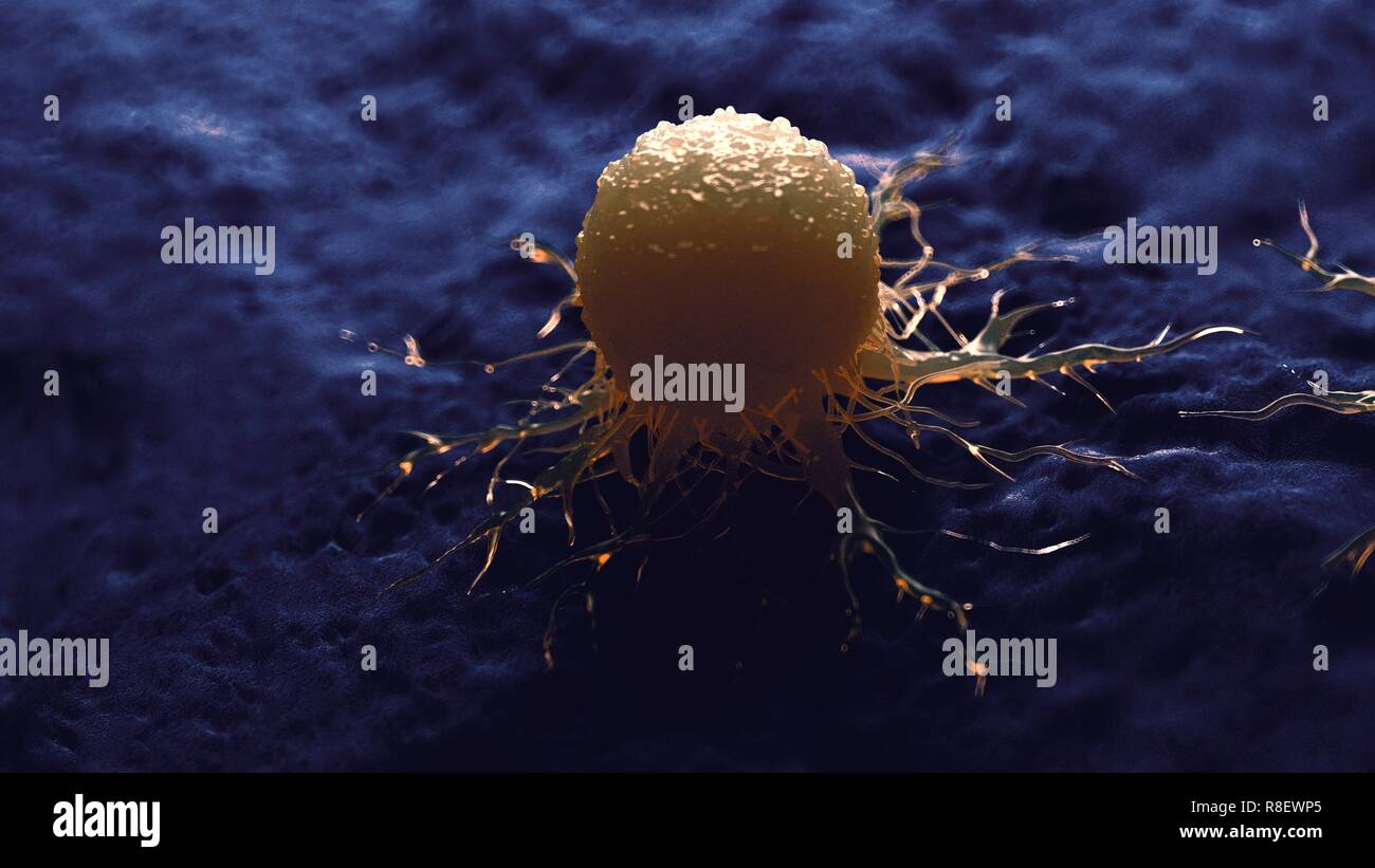 Illustration of a cancer cell Stock Photo - Alamy