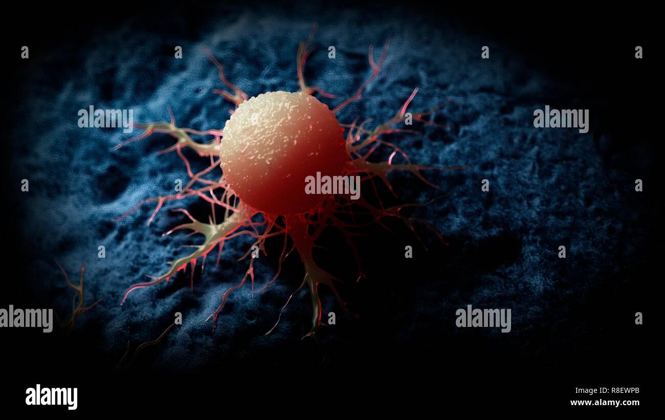 Illustration of a cancer cell Stock Photo - Alamy