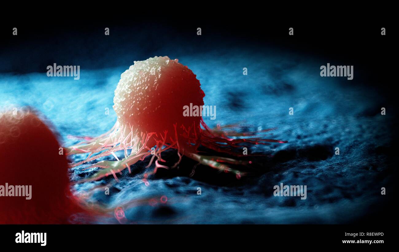 Illustration of a cancer cell Stock Photo - Alamy