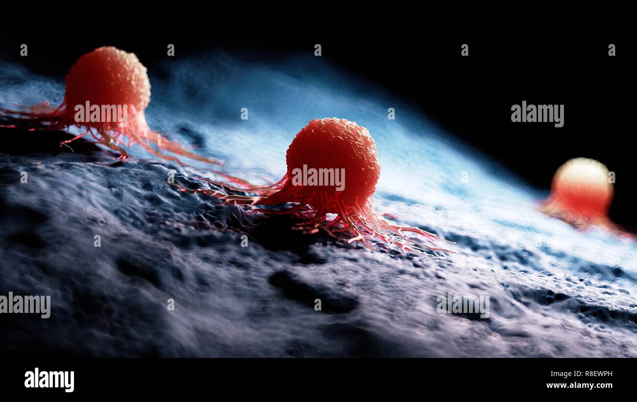 Illustration of a cancer cell Stock Photo - Alamy