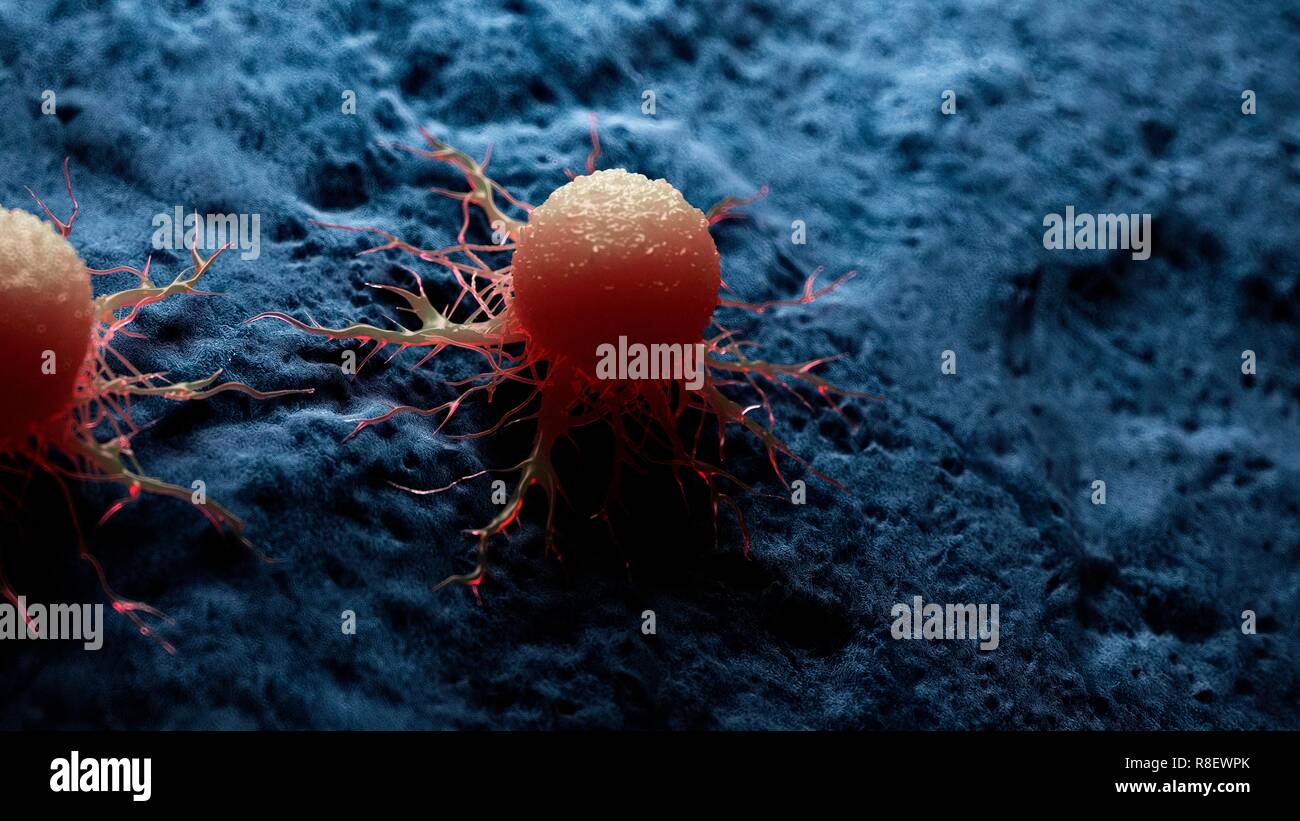 Illustration of a cancer cell Stock Photo - Alamy