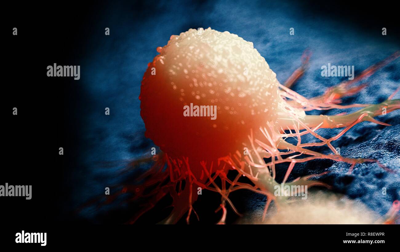 Illustration of a cancer cell Stock Photo - Alamy