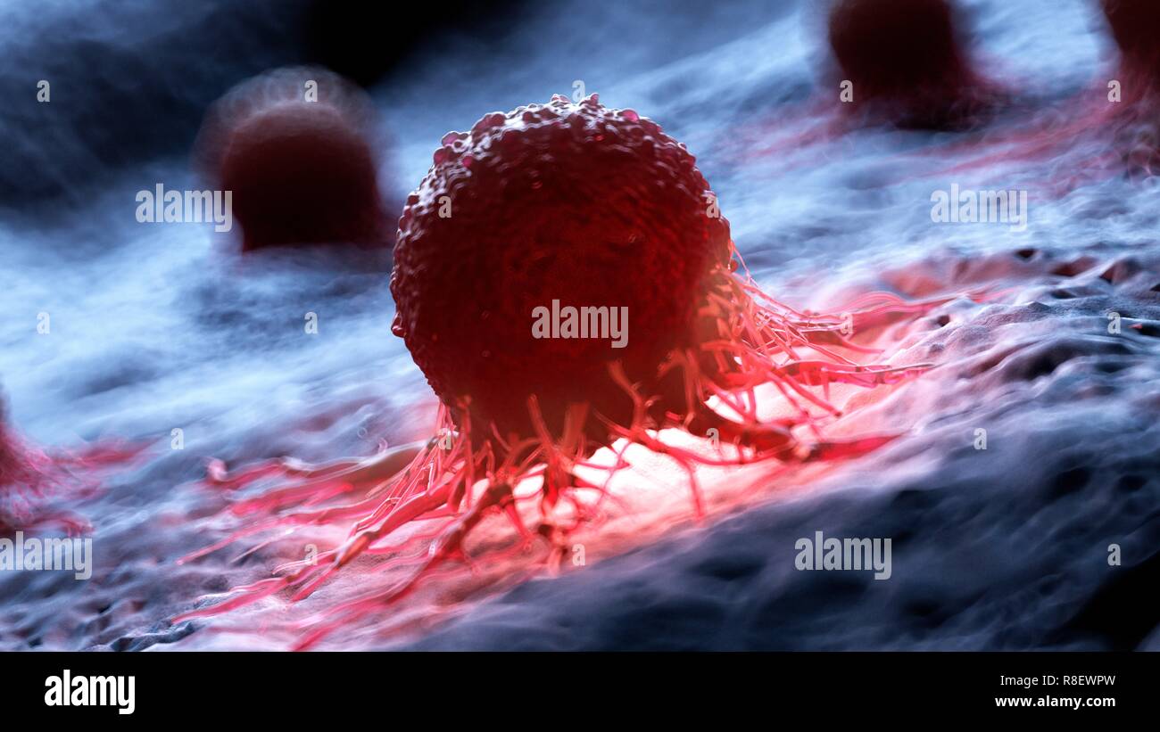 Illustration of a human cancer cell Stock Photo - Alamy