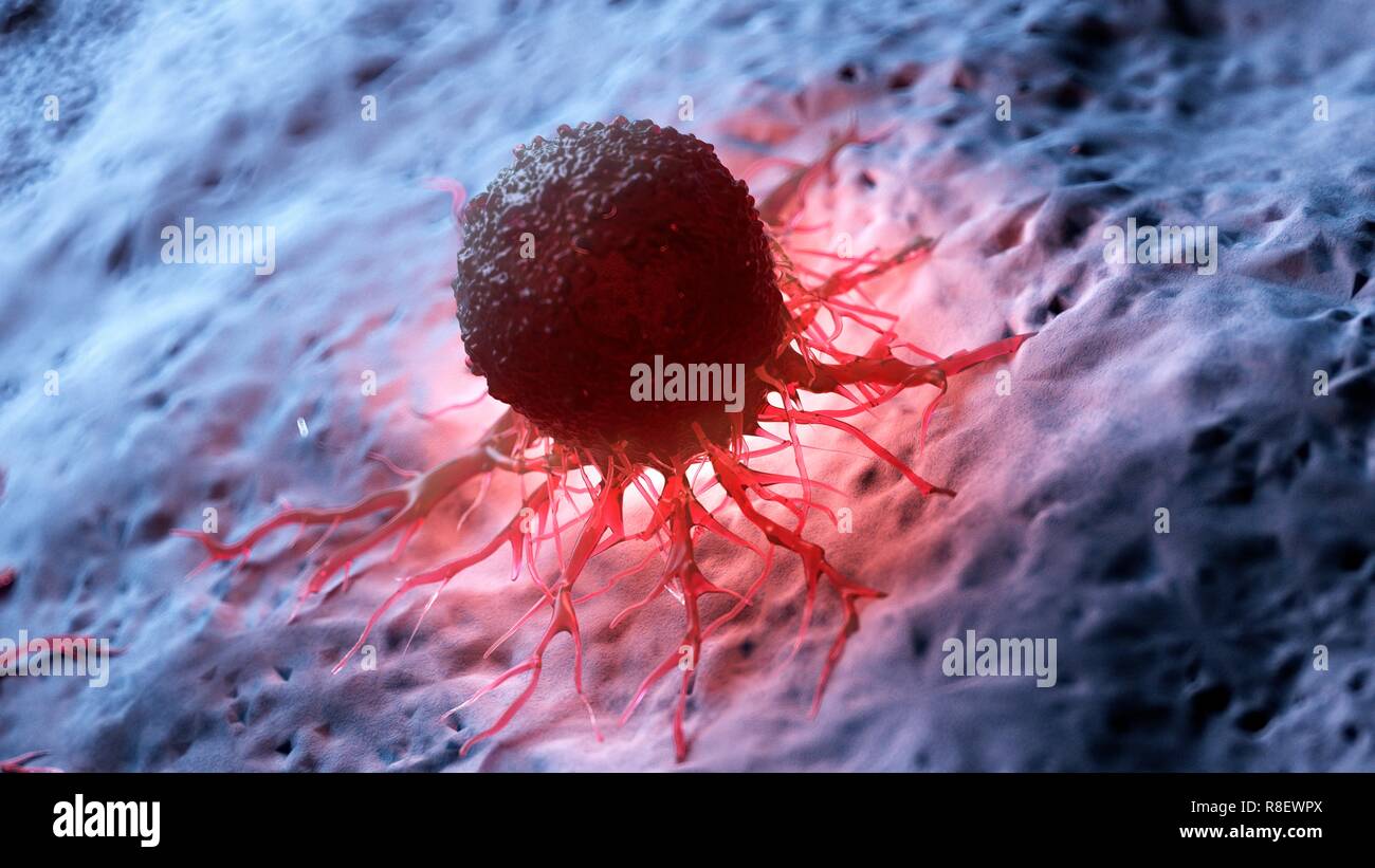 Illustration of a human cancer cell Stock Photo - Alamy
