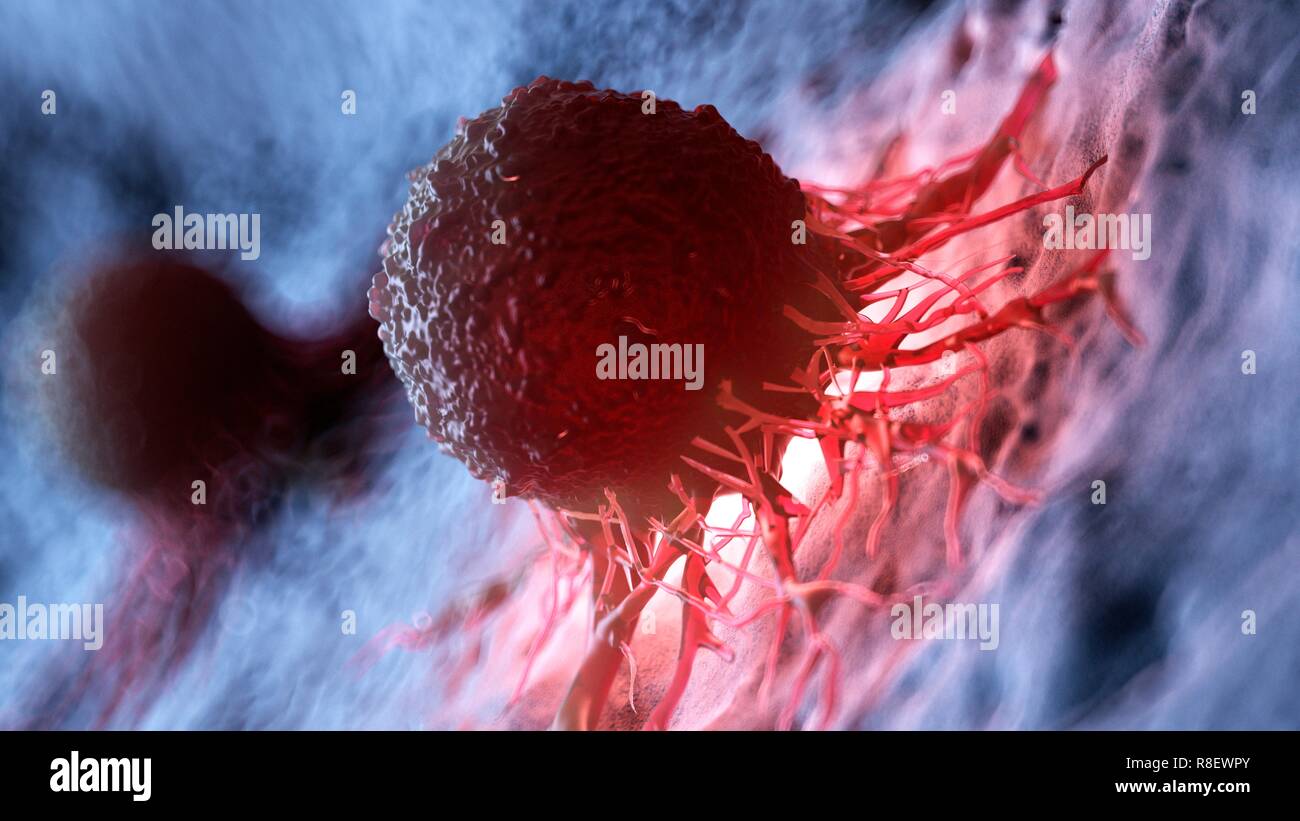 Illustration of a human cancer cell Stock Photo - Alamy