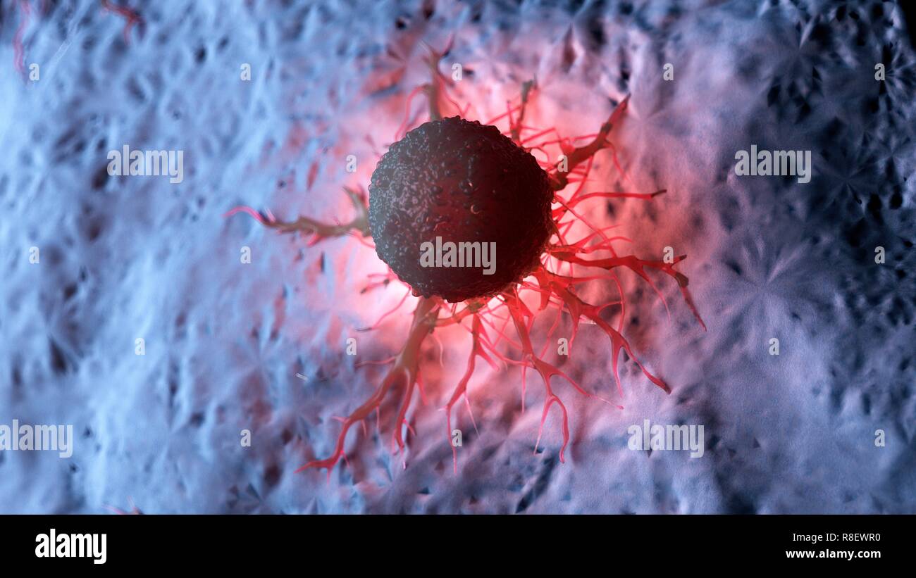Illustration of a human cancer cell Stock Photo - Alamy