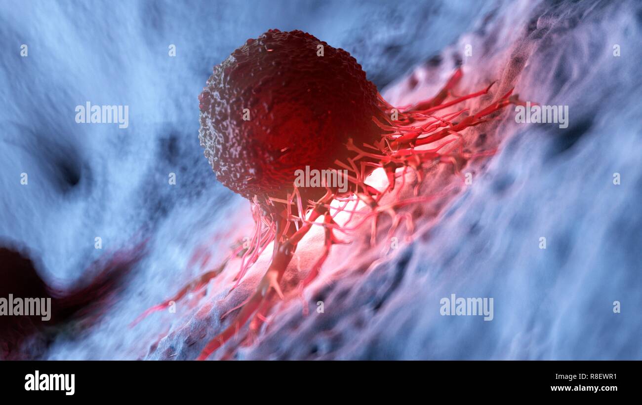 Illustration of a human cancer cell Stock Photo - Alamy
