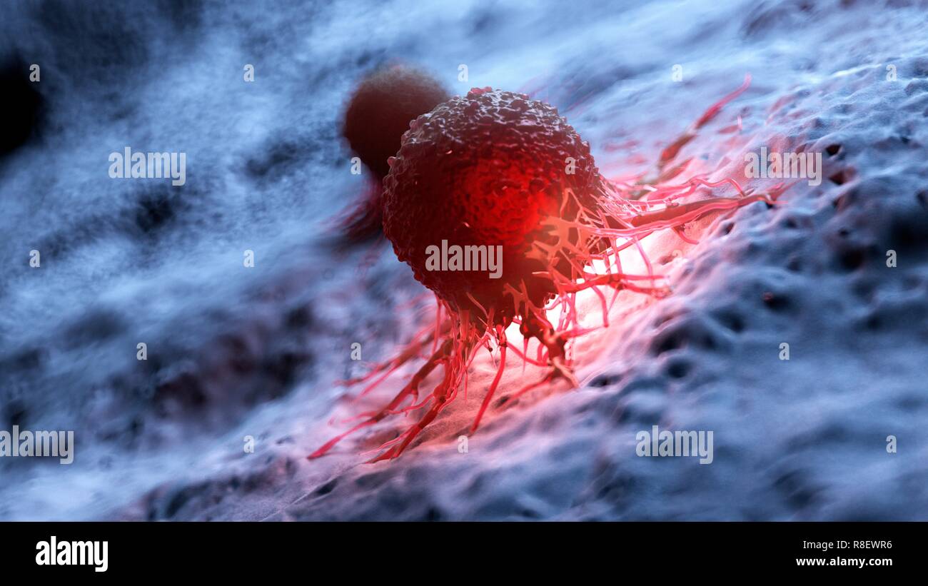 Illustration of a human cancer cell Stock Photo - Alamy