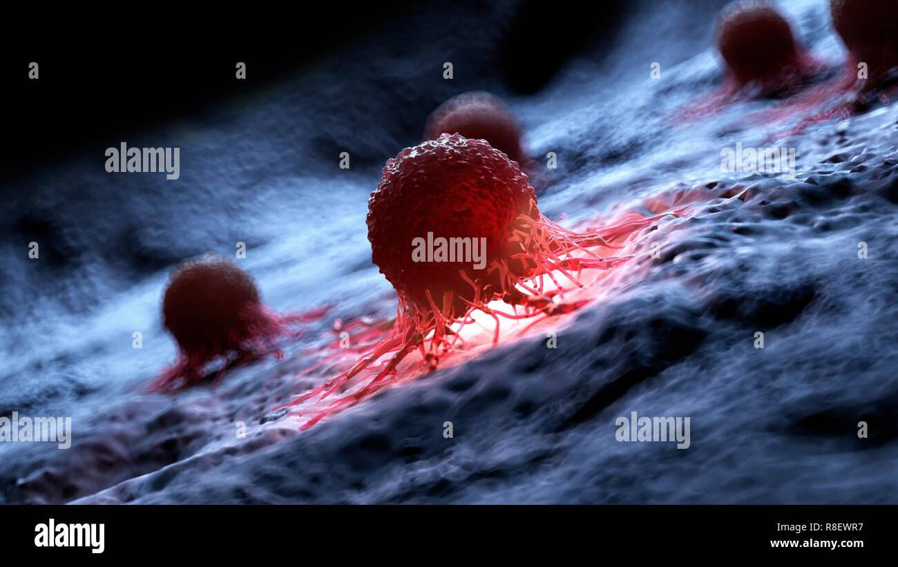 Illustration of a human cancer cell Stock Photo - Alamy