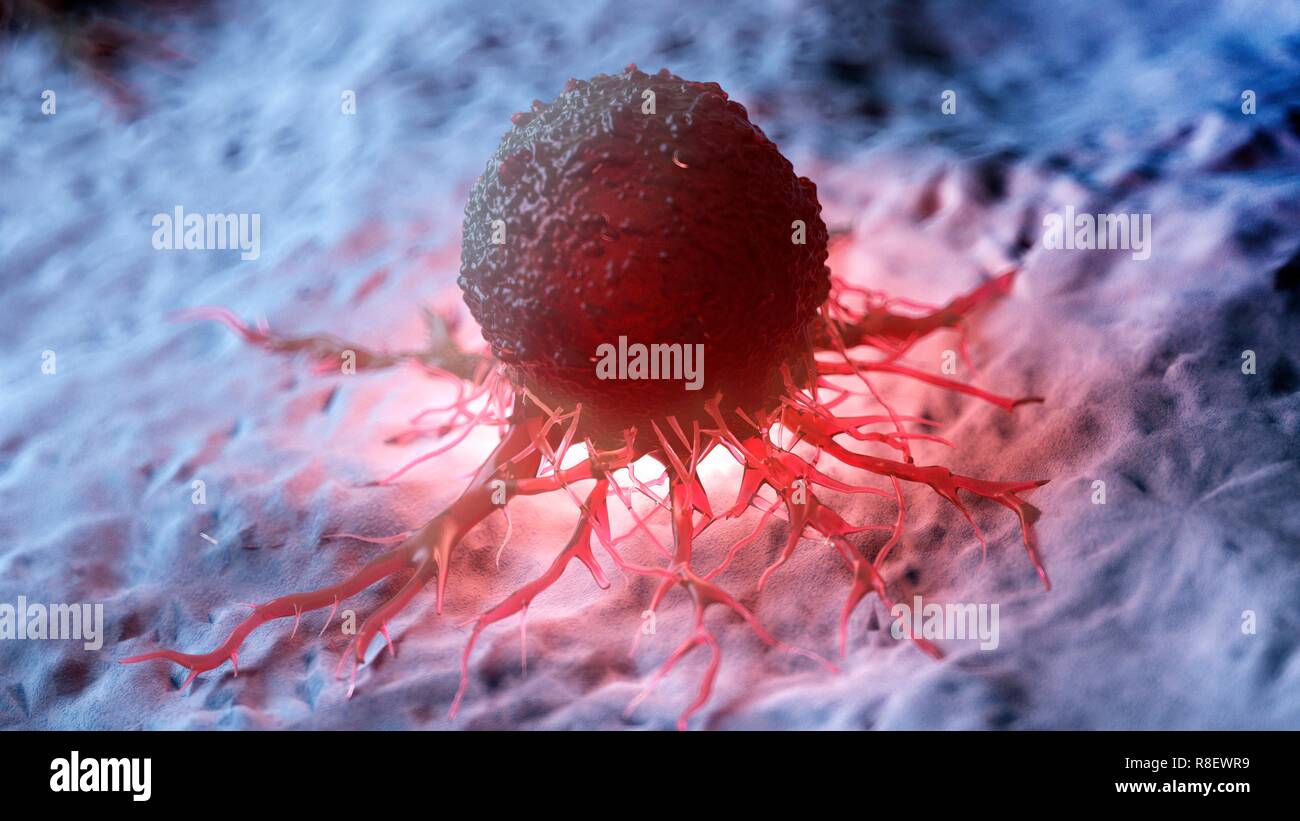 Illustration of a human cancer cell Stock Photo - Alamy