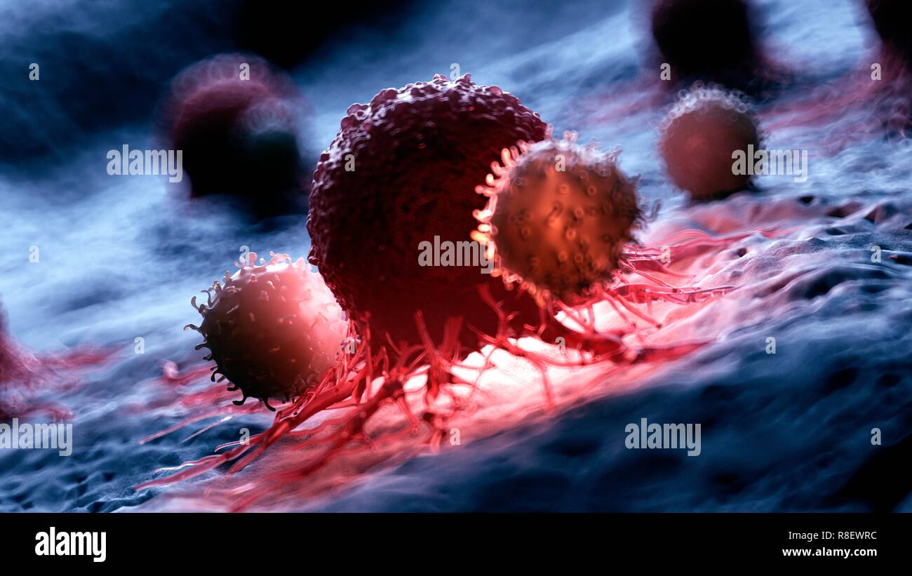 Illustration of white blood cells attacking a cancer cell Stock Photo ...