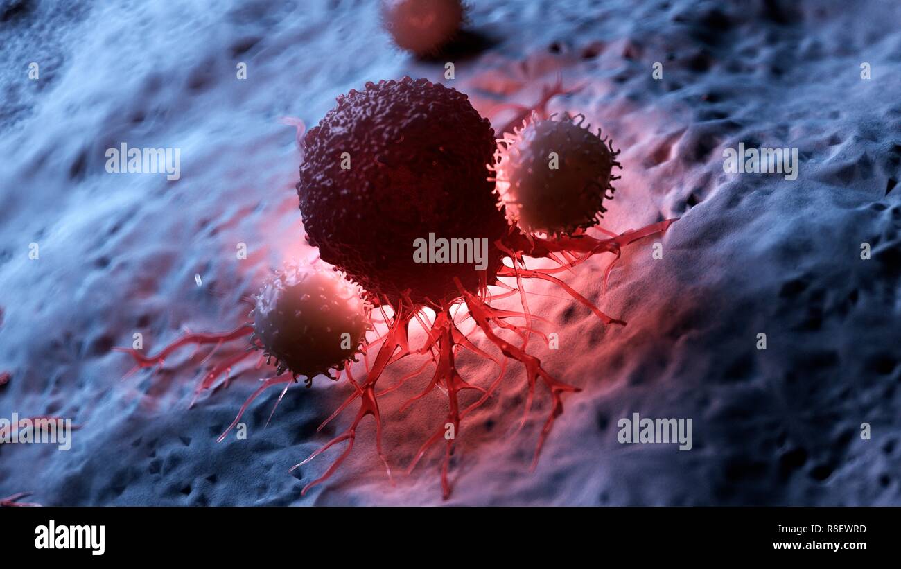 Illustration of white blood cells attacking a cancer cell Stock Photo ...