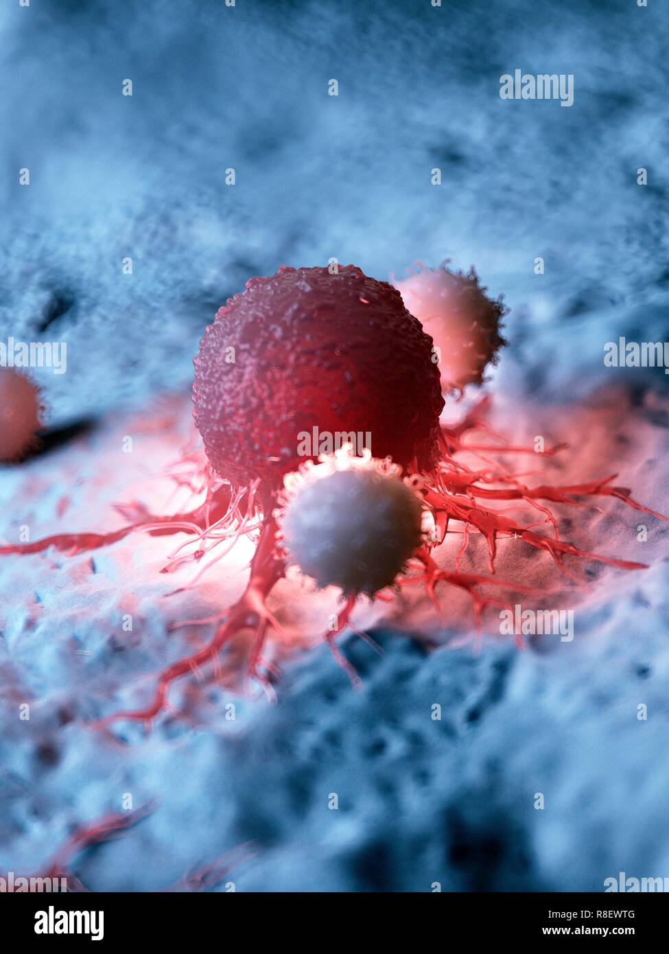 White blood cell attack hi-res stock photography and images - Alamy