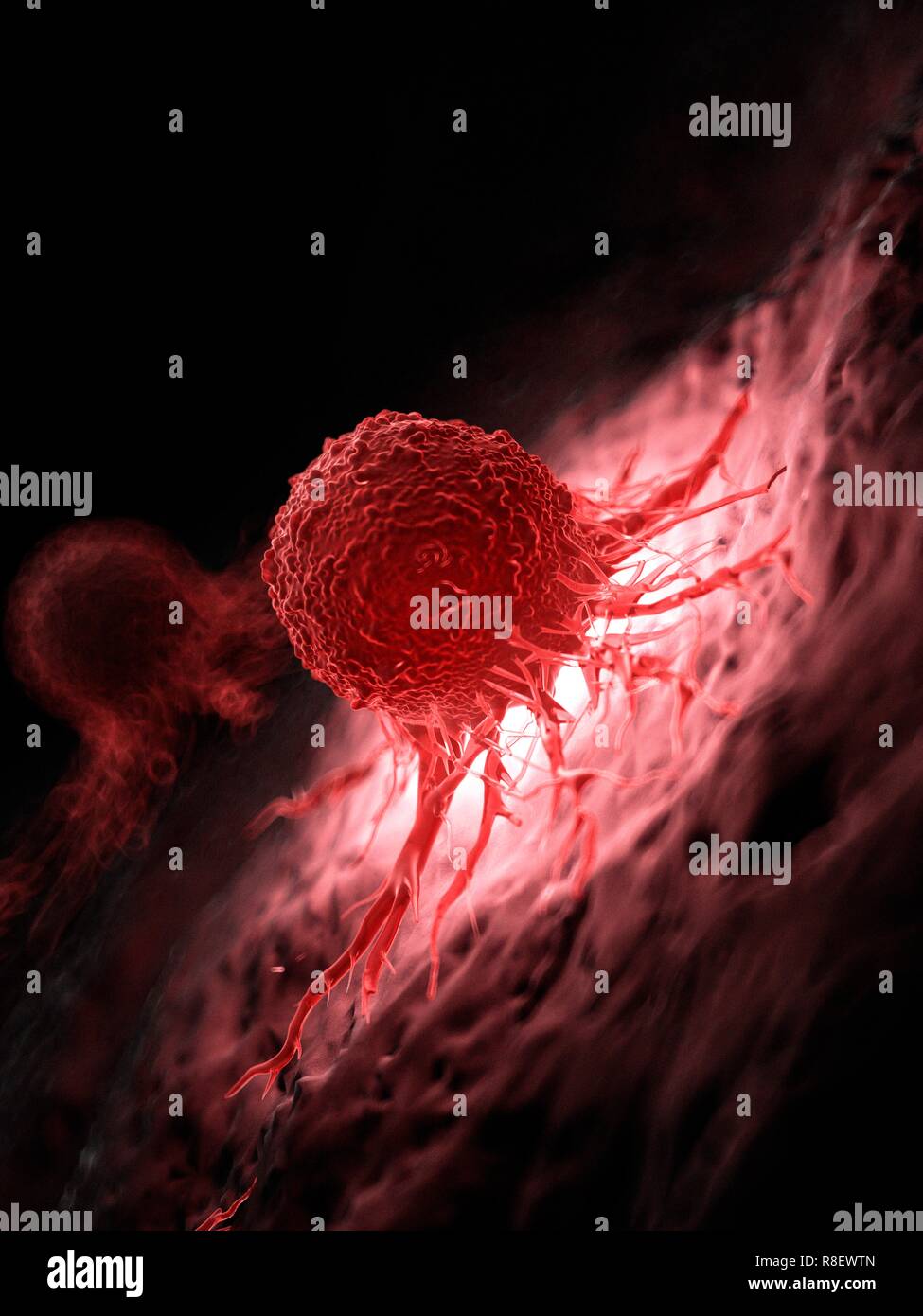Illustration of a cancer cell Stock Photo - Alamy