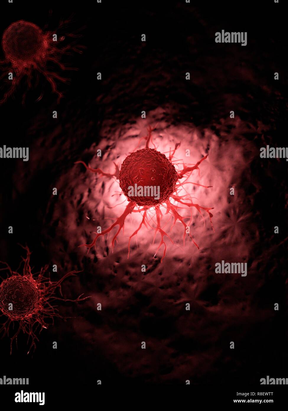 Illustration of a cancer cell Stock Photo - Alamy