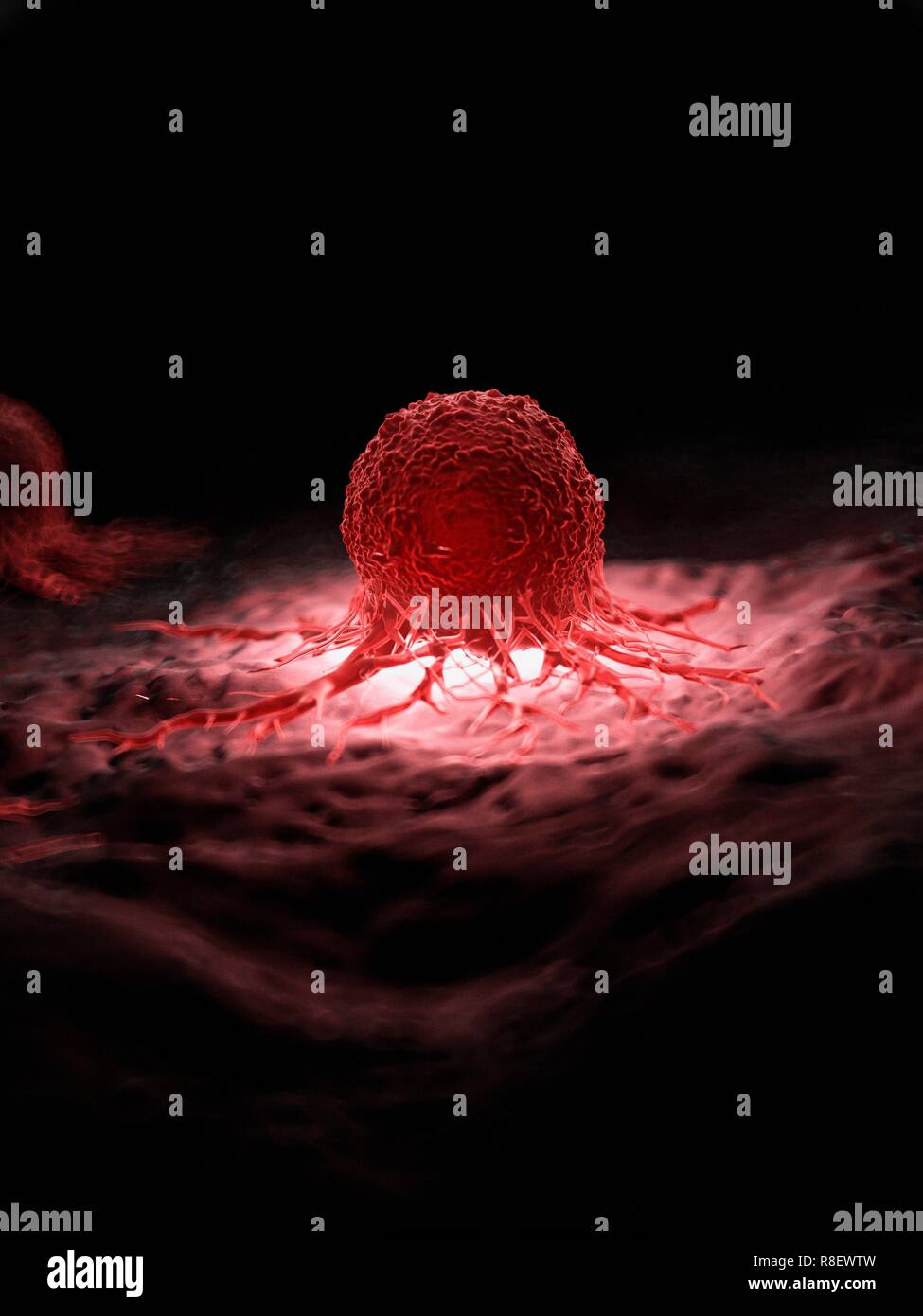 Illustration of a cancer cell Stock Photo - Alamy