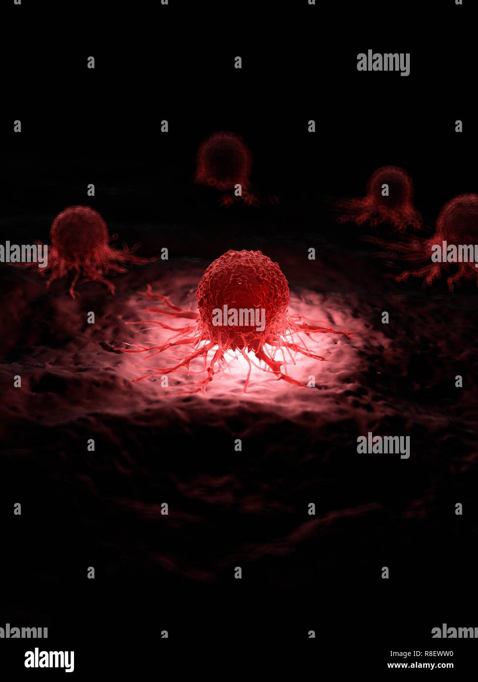 Illustration of a cancer cell Stock Photo - Alamy