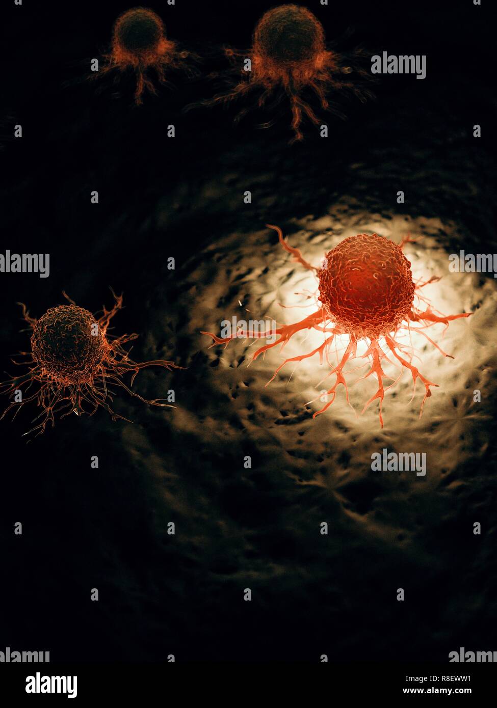Illustration of a cancer cell Stock Photo - Alamy